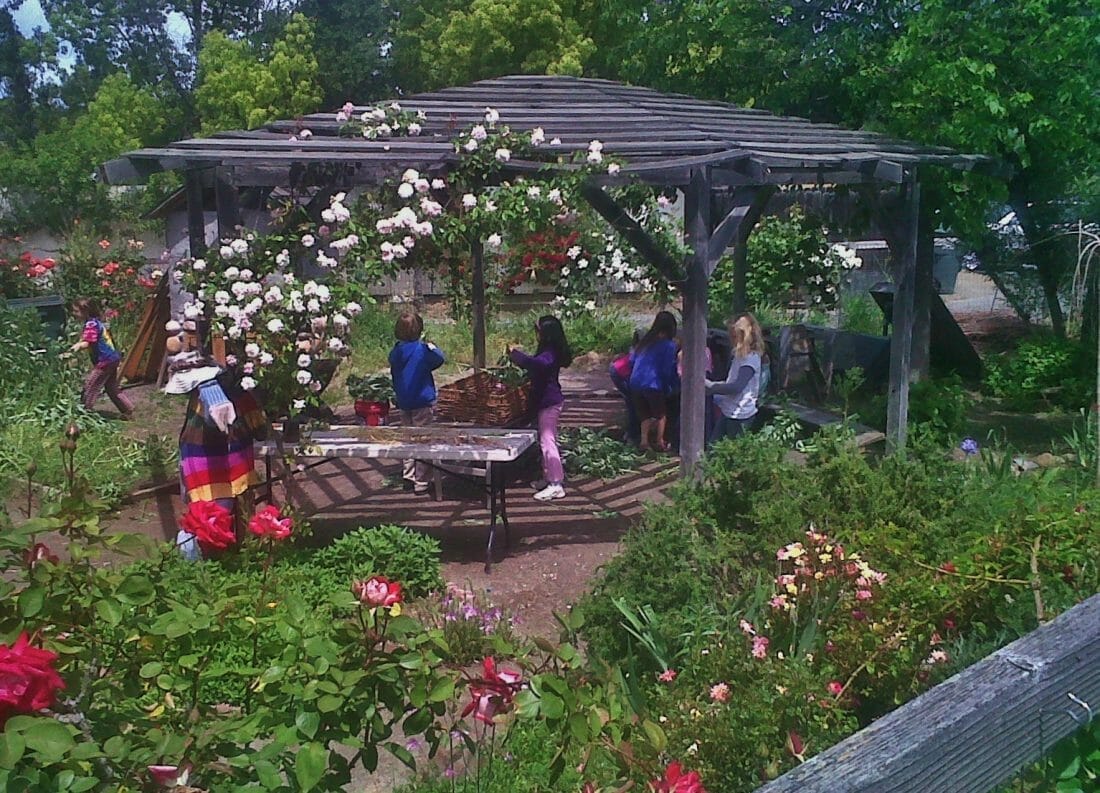 21 Ingenious School Garden Ideas To Inspire You 21-ingenious-school-garden-ideas-to-inspire-you