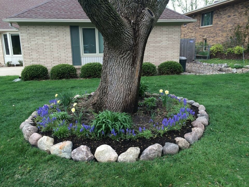 28 Fabulous Landscape Tree Ring Ideas You Should Copy